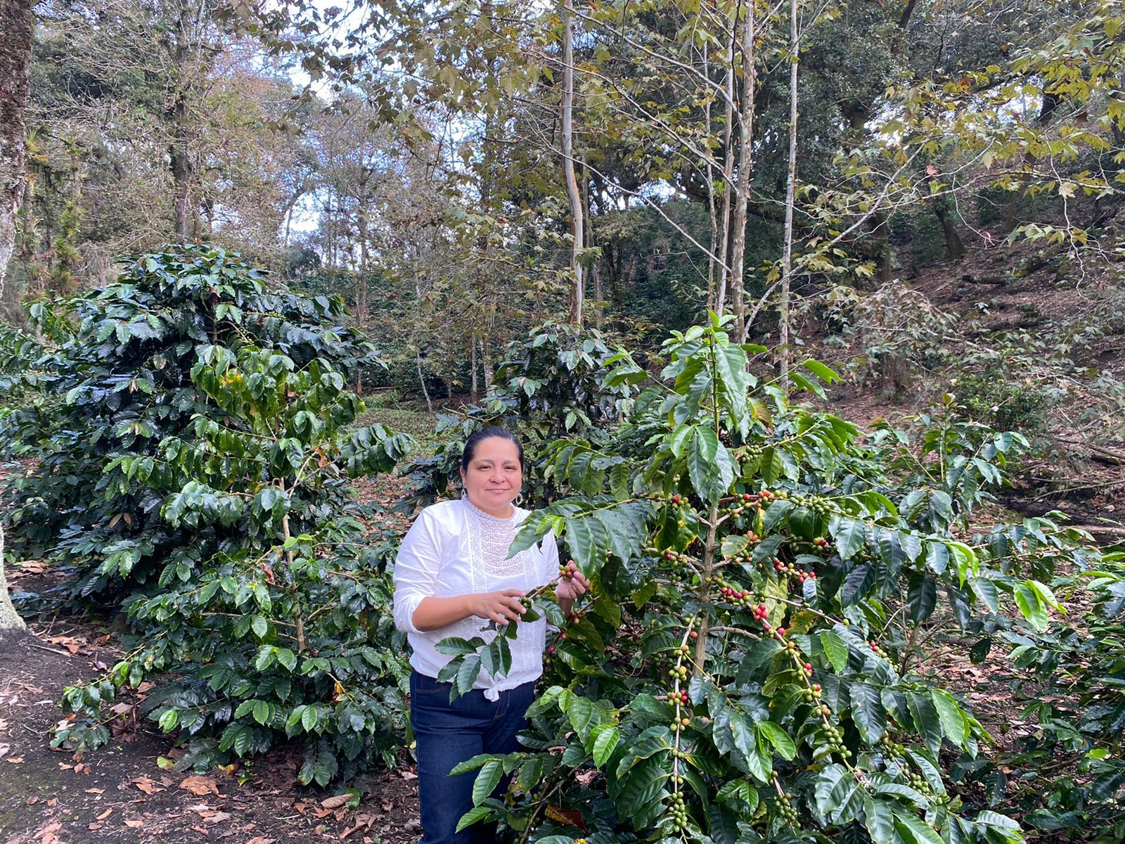 Interview with Julia Ortega - "The hands behind the first Carbon Neutr ...