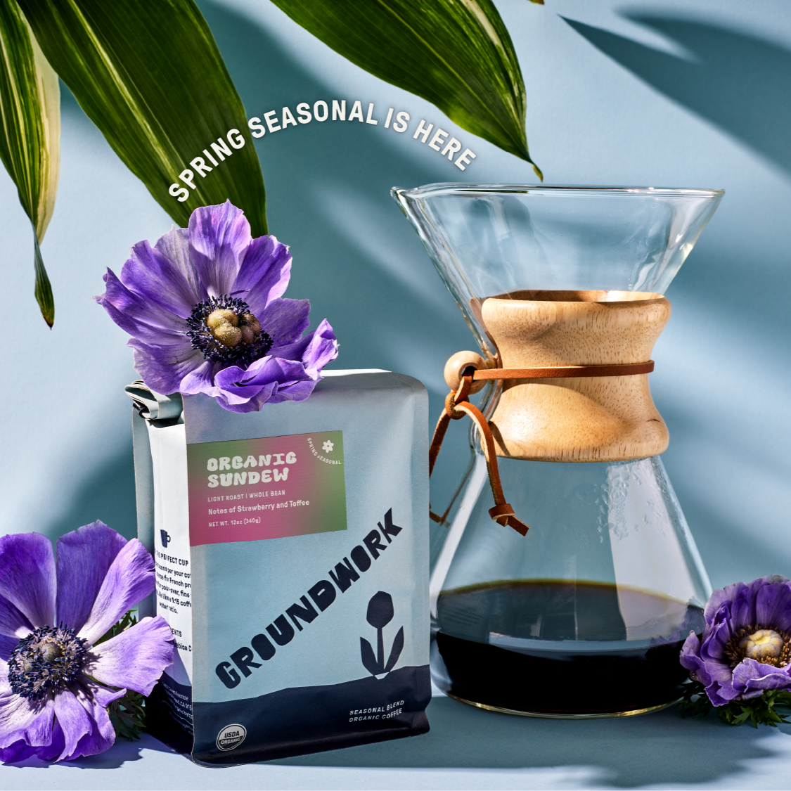 Certified Organic Fairly Traded Coffee - Groundwork Coffee Co.